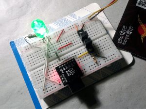 A Funny Digital Toggle Switch - Codrey Electronics