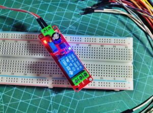 NE555 0-10S Delay Timer Relay Module - Codrey Electronics