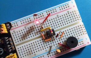 Barn Light Watcher - Codrey Electronics