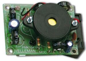 Electronic Chirping Cricket – STEM DIY - Codrey Electronics