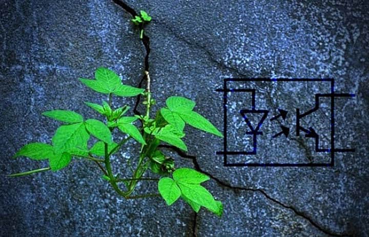 Isolated Voltage Monitors - Codrey Electronics